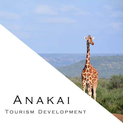 ShadowTec Web Design - Portfolio